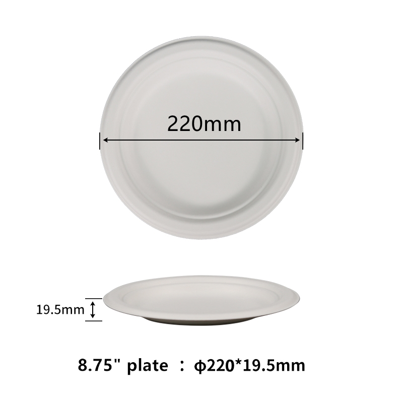 Bagasse Plates Wholesale, Sugarcane Bowl Manufacturers - SINCERE