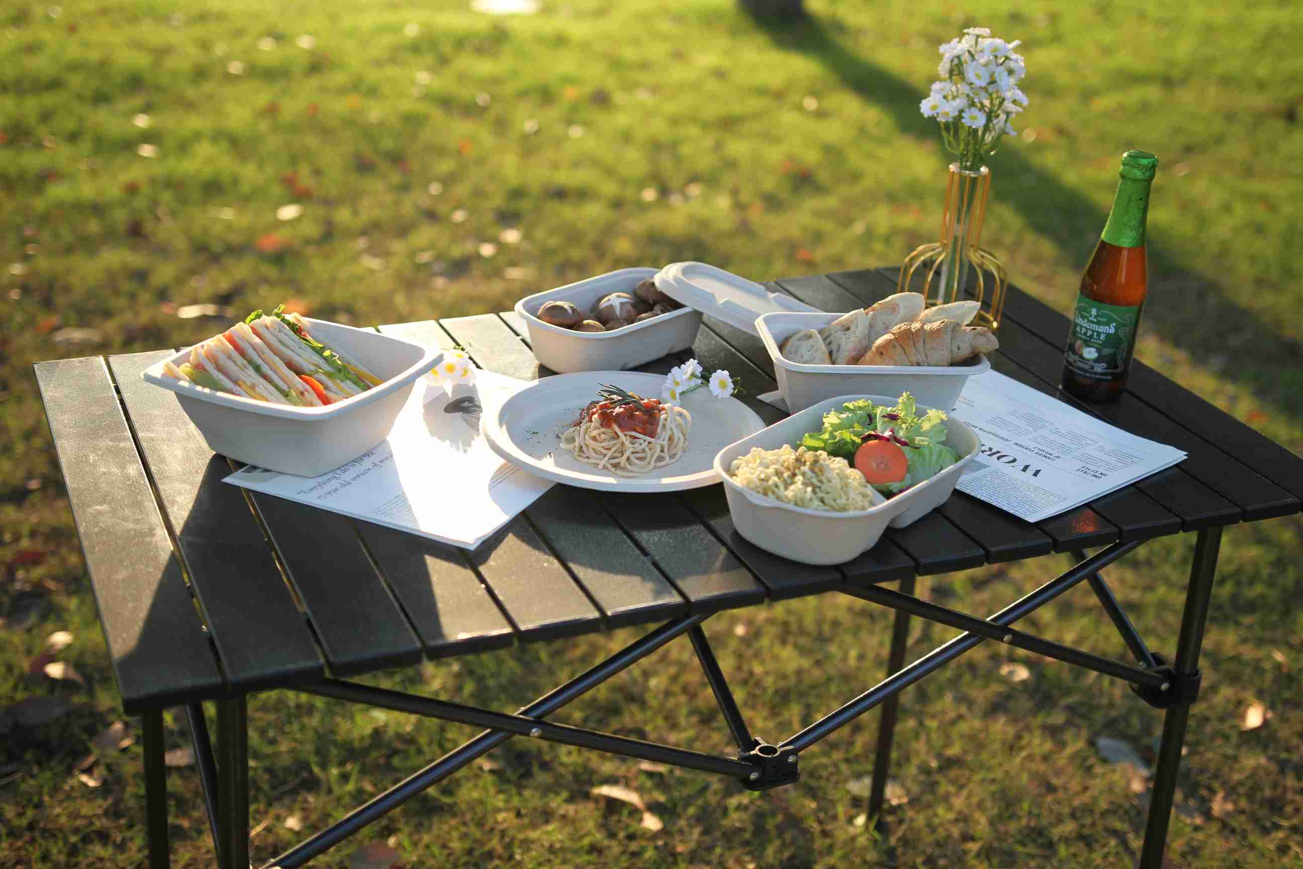Global Trends in Biodegradable Tableware: A Sustainable Choice-www ...